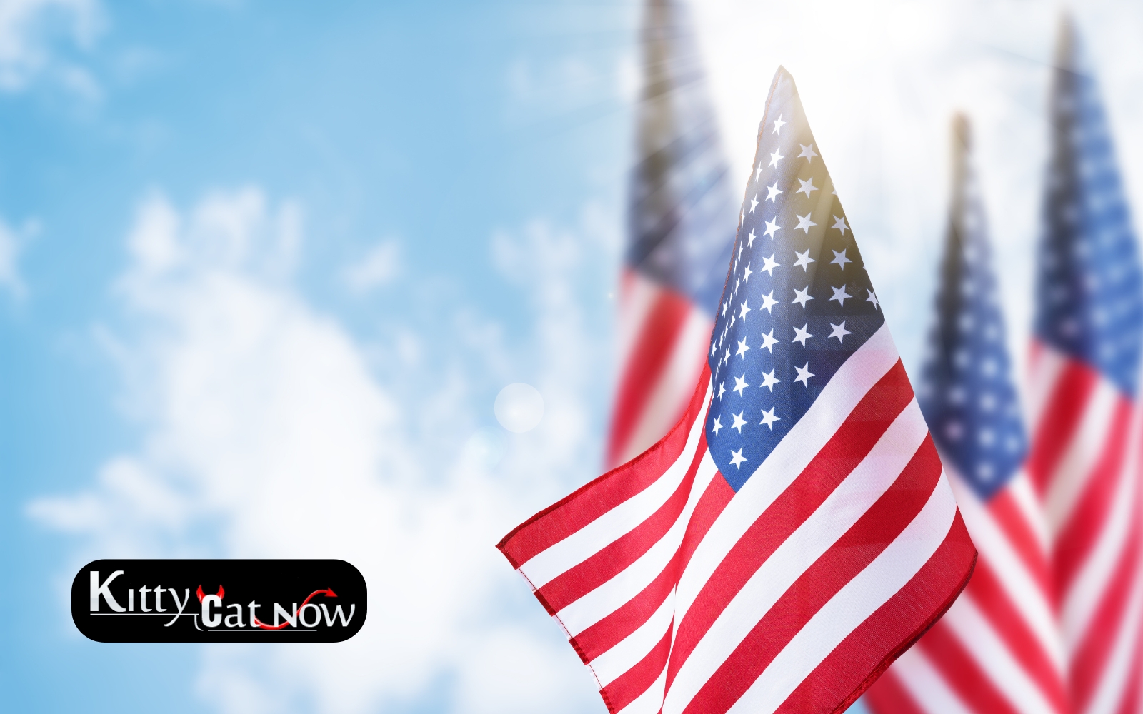 Memorial Day Party Ideas in Nashville with Strippers - Kitty Cat Now ...
